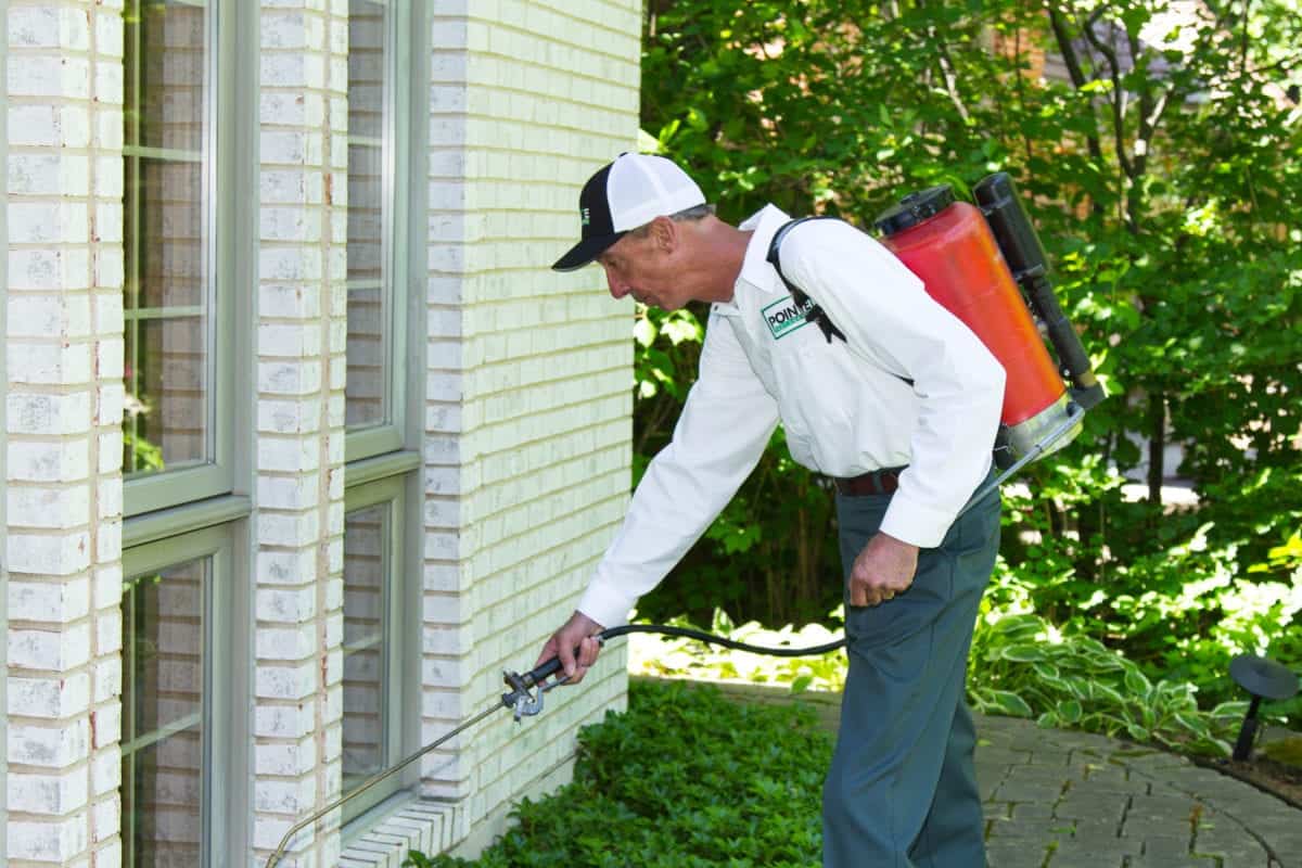 About Us: Pointe Pest Control