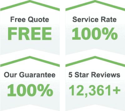 Life Cycles of Centipedes - Pointe Pest Control: Chicago Exterminator ...