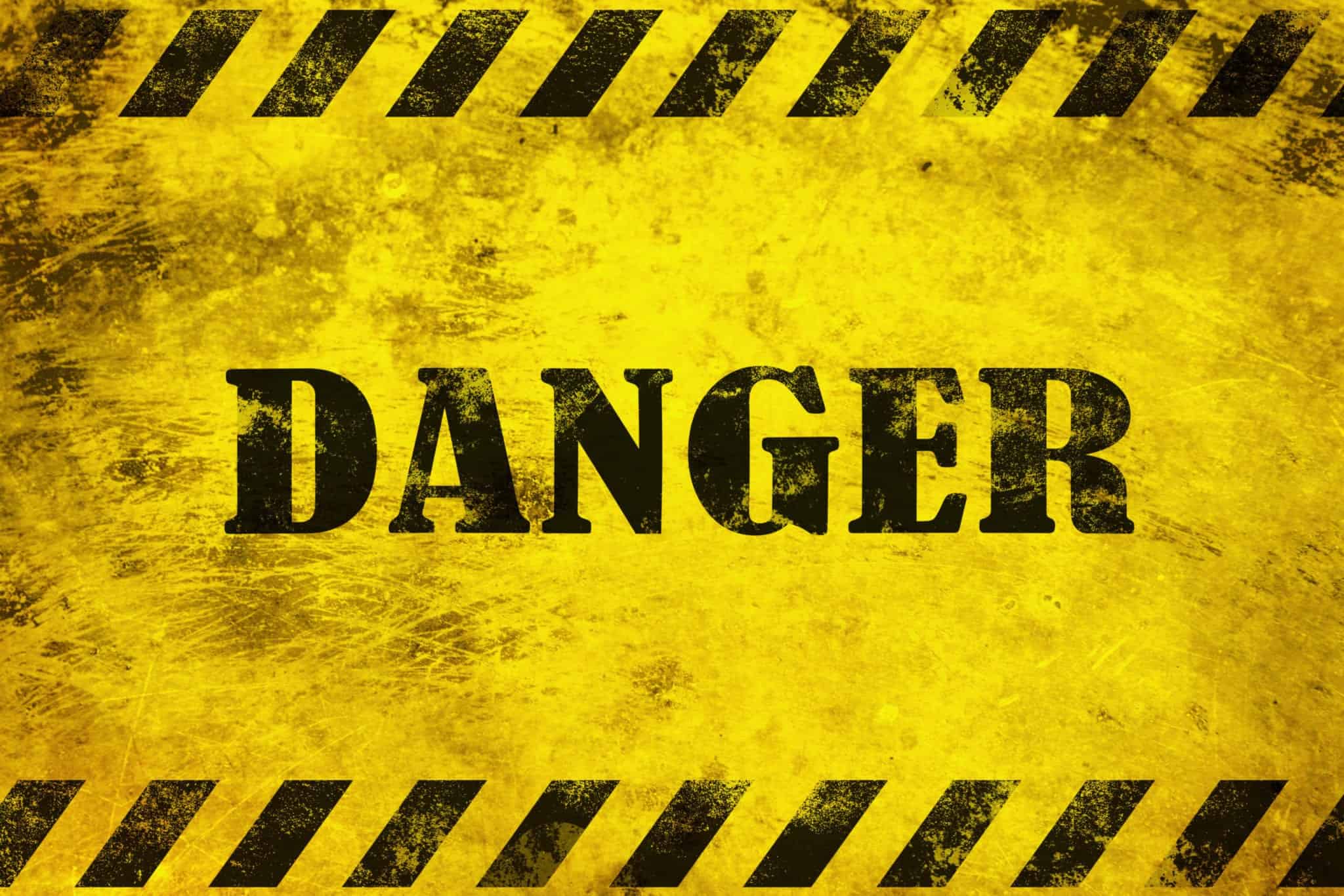 Ten Of The Most Dangerous Insects Alive Today Pointe Pest Control