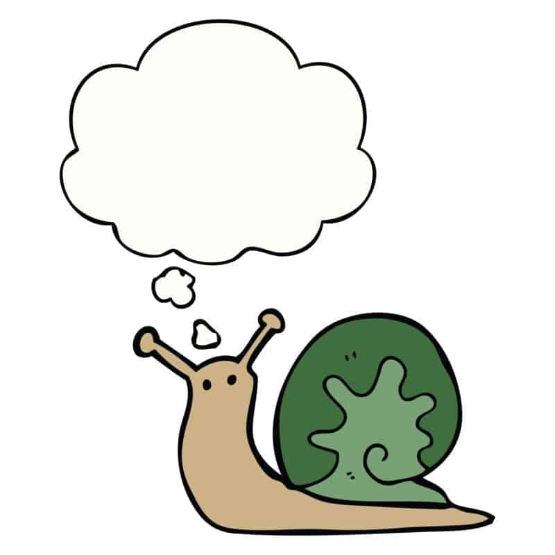 Do Insects Have Conscious Thoughts? - Pointe Pest Control | Chicago ...