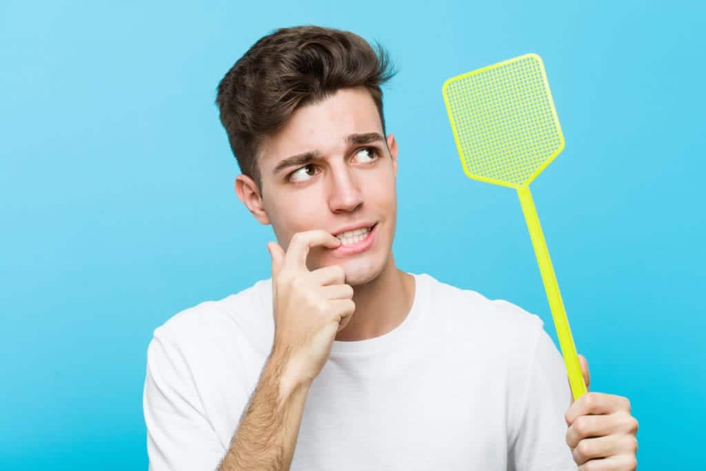 Do Insects Have Conscious Thoughts? - Pointe Pest Control: Chicago ...