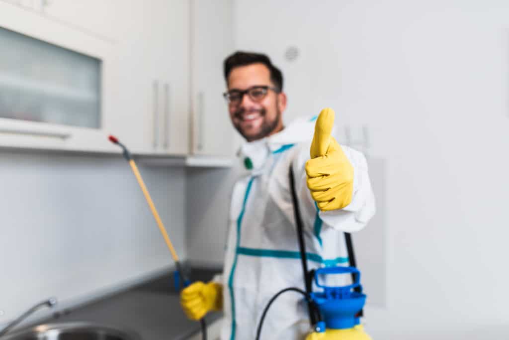 Exterminator,In,Work,Wear,Spraying,Pesticide,With,Sprayer.,Selective ...