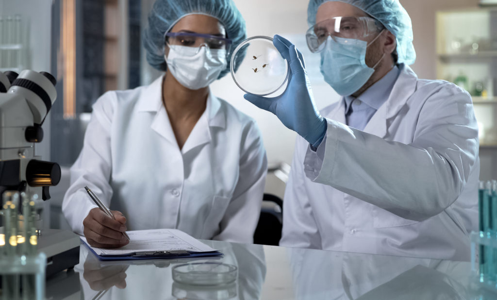 Common Pest Control Vocabulary - Pointe Pest Control: Exterminator ...