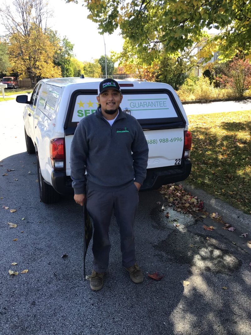 Pointe Pest Control | Pest Control Services in Chicago - Pointe Pest ...